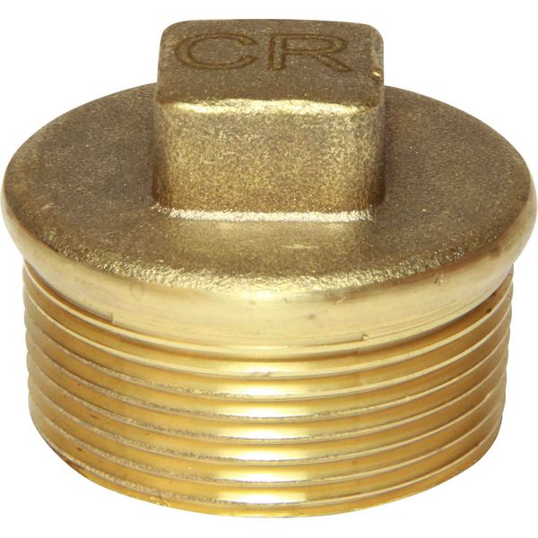 Maestrini DZR Tapered Plug (1-1/2" BSP Male) – All About Boats