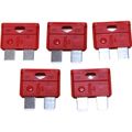 AMC Blade Fuse (10 Amp / 5 Pack) – All About Boats