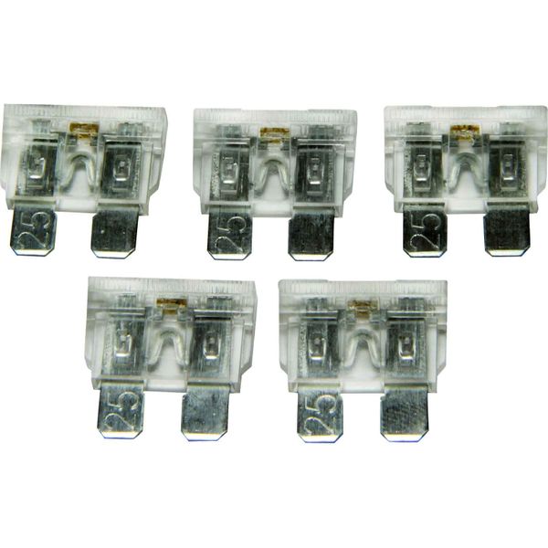AMC LED Blade Fuse (25 Amp / 5 Pack) – All About Boats
