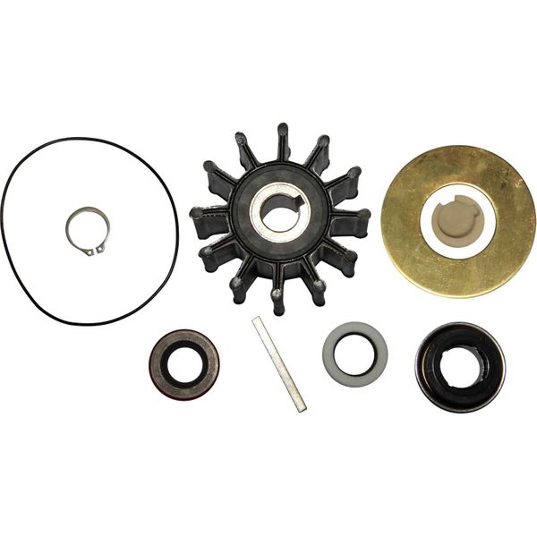 Sherwood Minor Repair Kit 23973 for Sherwood P1700 Series Engine Pumps ...