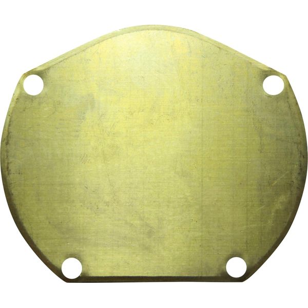 Sherwood 24125 Pump End Cover Plate for Sherwood Engine Cooling Pumps ...